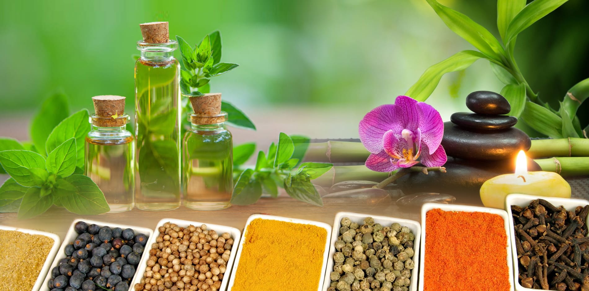 List Of Ayurvedic Medicine Manufacturer In Uttarakhand Ayurvedic Firms List Of Ayurvedic Medicine Manufacturer In Uttarakhand Ayurvedic Firms
